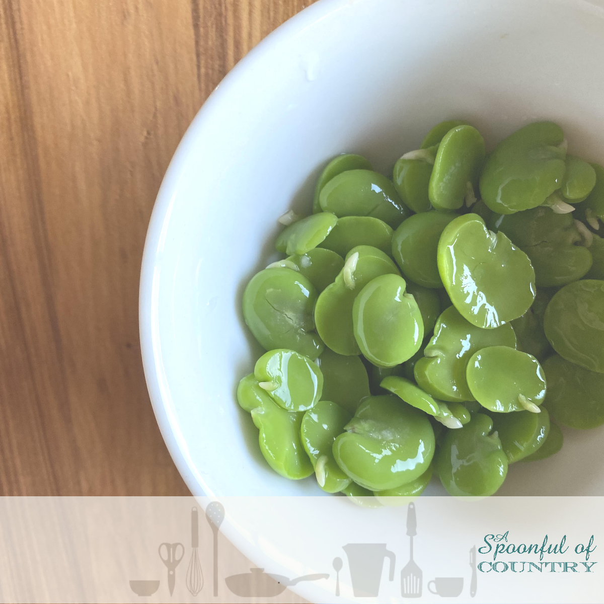 A Spoonful of Country: How To Cook Broad Beans