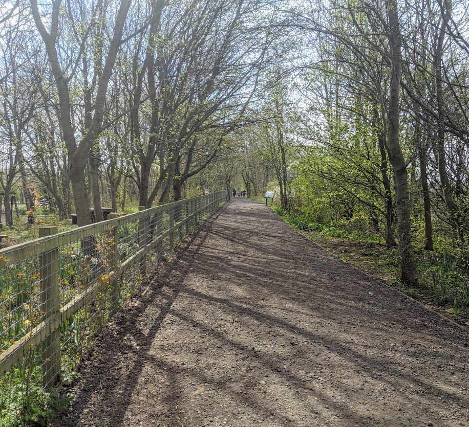 Wynyard Woodland Park : Visitor Information | North East Family Fun