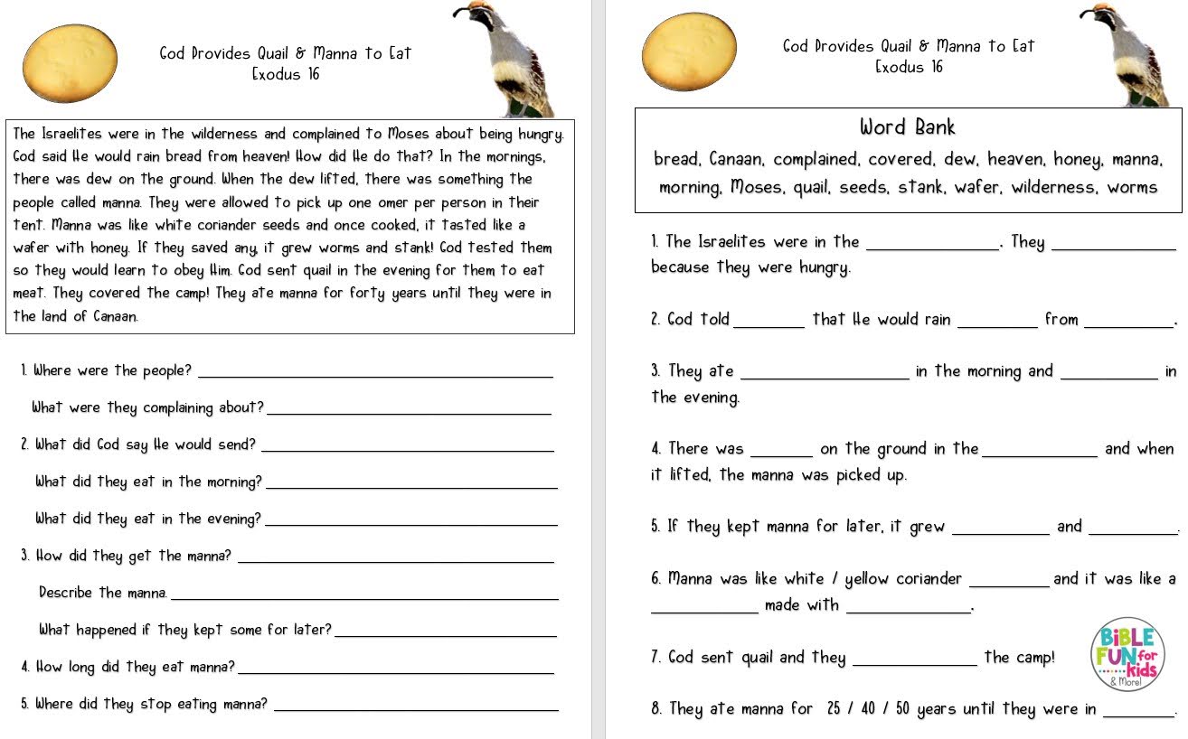 Quail in the Wilderness! | Bible Fun For Kids