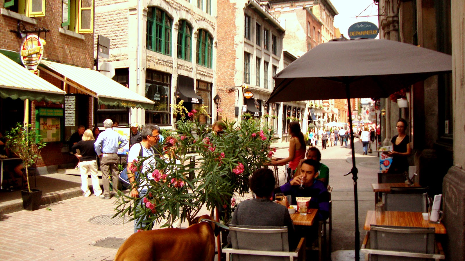 The Insider's Pocket Guide to Montreal: The Insider's Guide to Old Montreal