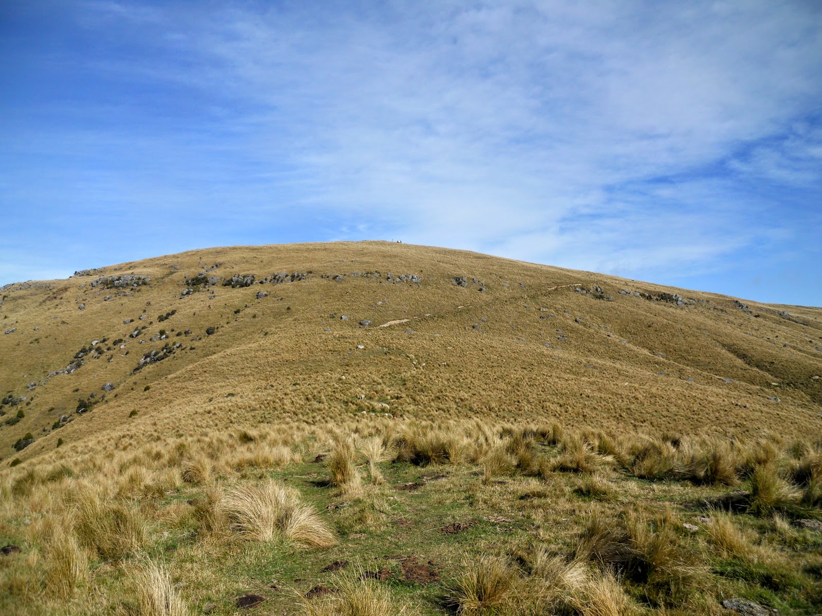 Tramping in the New Zealand backcountry: NZ Bush Adventures: Purau ...