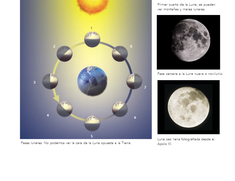 Maestra Mónica Ochoa: COPIAR EN LIBRETA DE C.NATURALES.