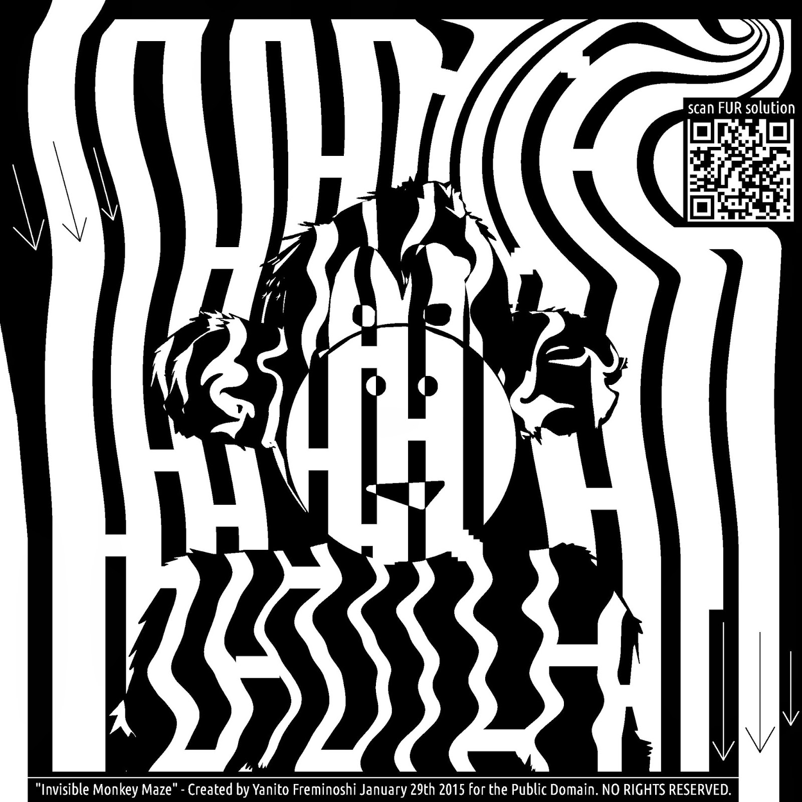 Awesome Mazes: Invisible Monkey Maze