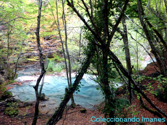 Excursión de un día al Urederra - Otoño
