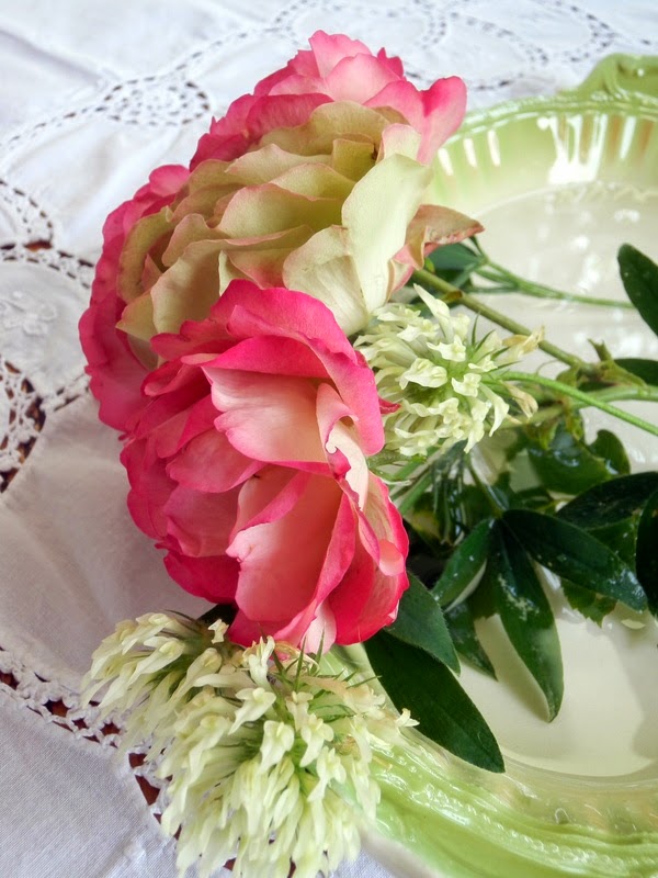 Het Bloeiende Buitenleven: ROSA ´ACROPOLIS´