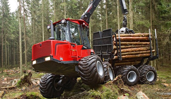 EL MUNDO DE LA GEOGRAFÍA: 5. EXPLOTACIÓN FORESTAL