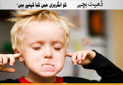 Balky Meaning in Urdu - Learn Pakistan