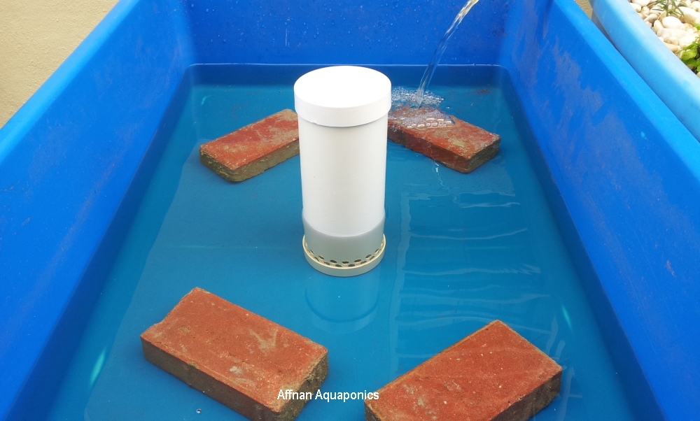 Affnan's Aquaponics: Strainer Bell Siphon - A Simplified Affnan Siphon