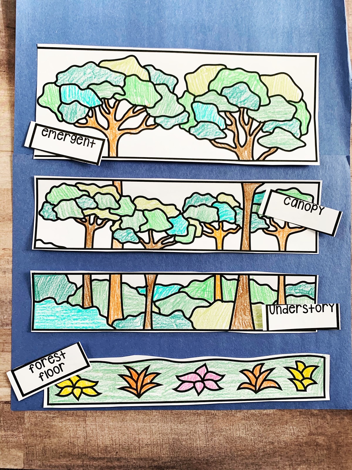 Rainforest ELA Unit for Kindergarten and 1st Grade | Busy Hands and Minds