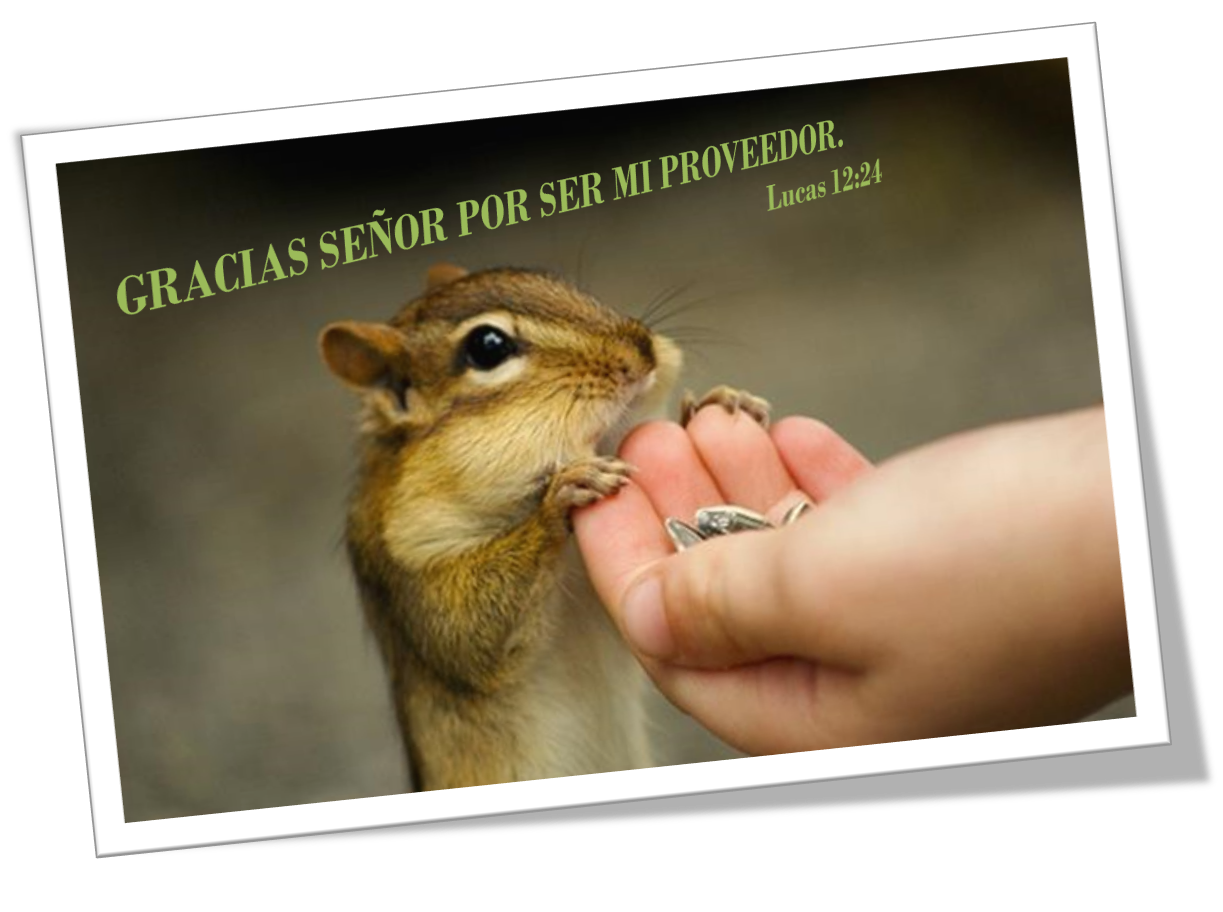 GRACIAS SEÑOR POR SER MI PROVEEDOR