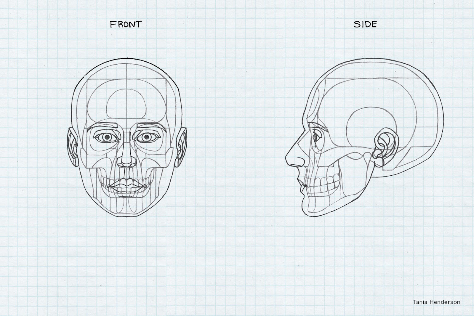 Draw Speak: Head Anatomy, Proportion, and Design