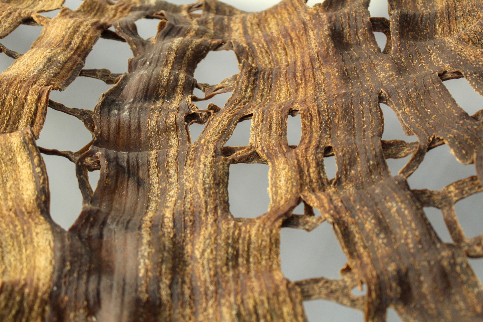 Marcos Cruz Architect