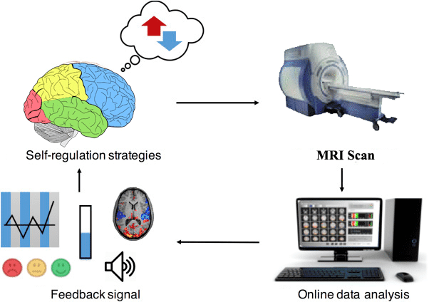 What is biofeedback|Difference between biofeedback and neurofeedback?