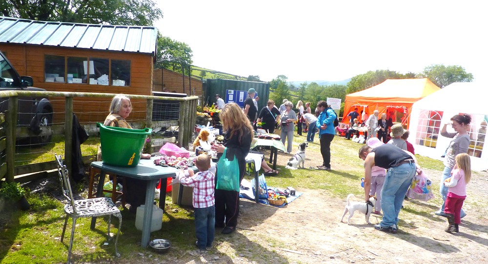lesleys animal shelter: July 2011