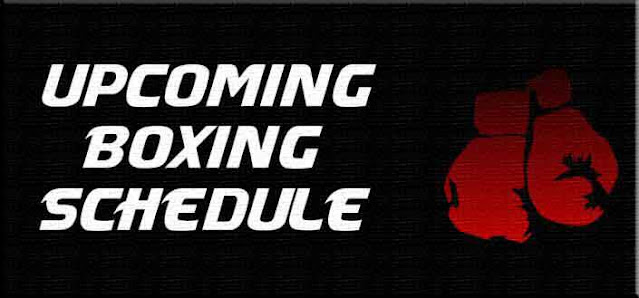 Boxing Schedule 2021 - ALL Boxing Updates
