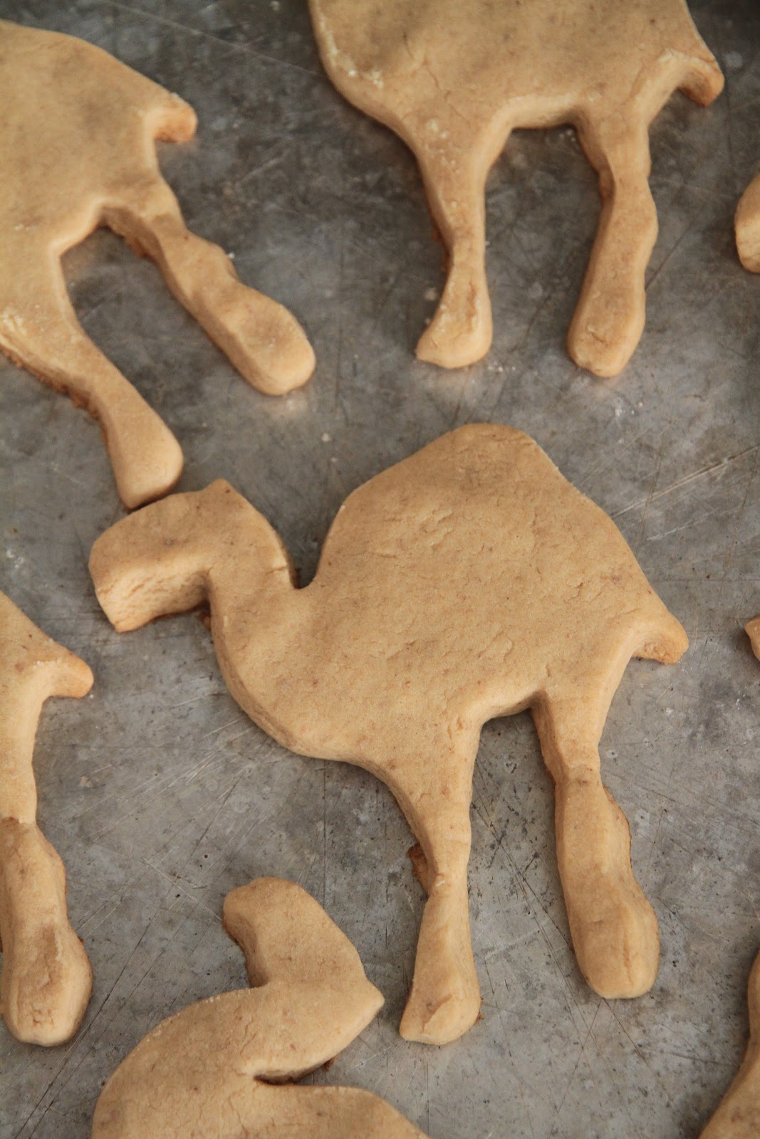 Sweet Petunia's Bake Shoppe: CAMEL COOKIES!!!!!