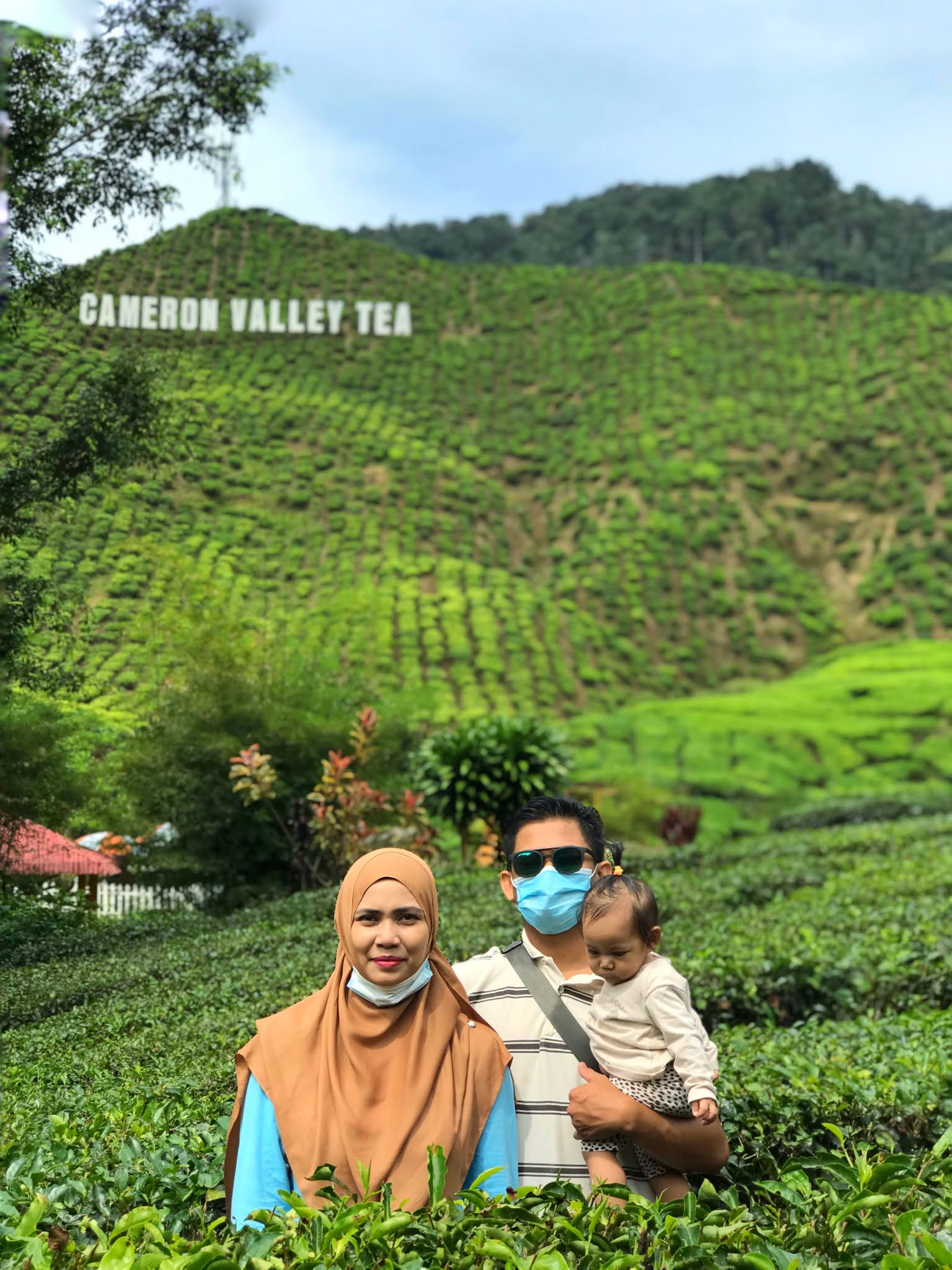 Lensa Pijut: Cameron Valley Tea House 1 :: Cameron Highland #PKPP
