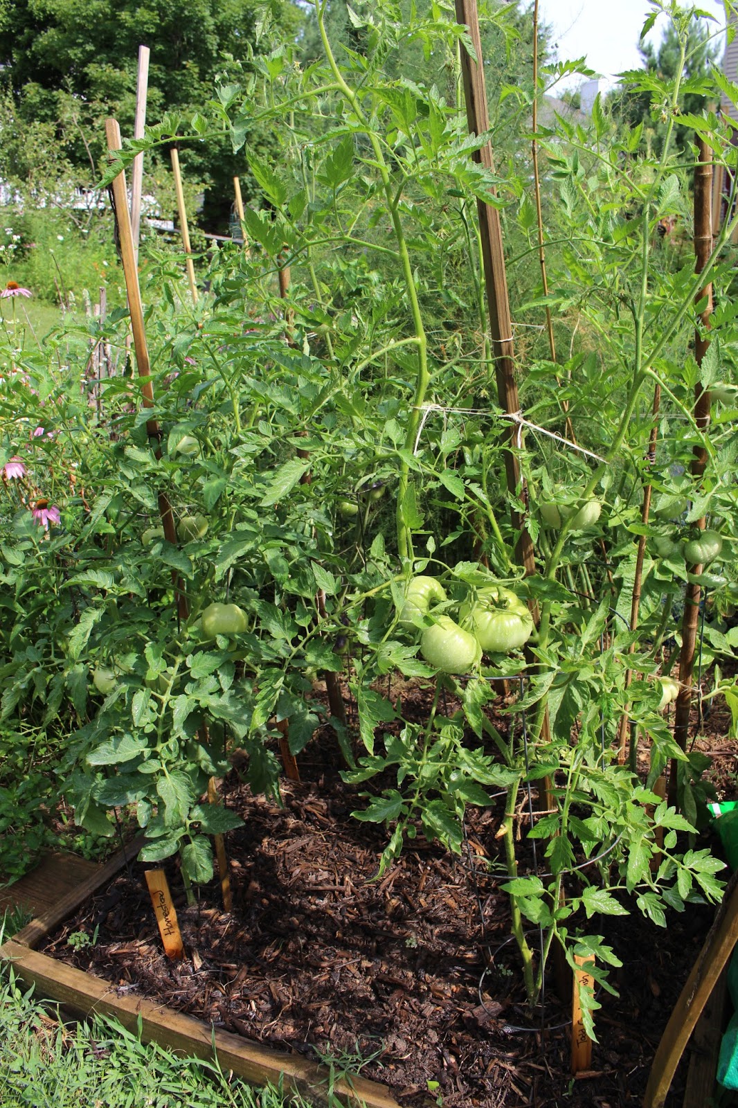 The Rusted Vegetable Garden