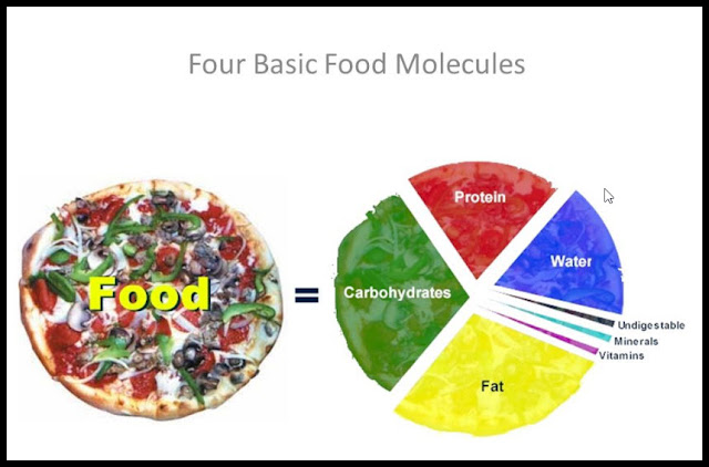 S T R A V A G A N Z A: THE FOUR BASIC FOOD MOLECULES
