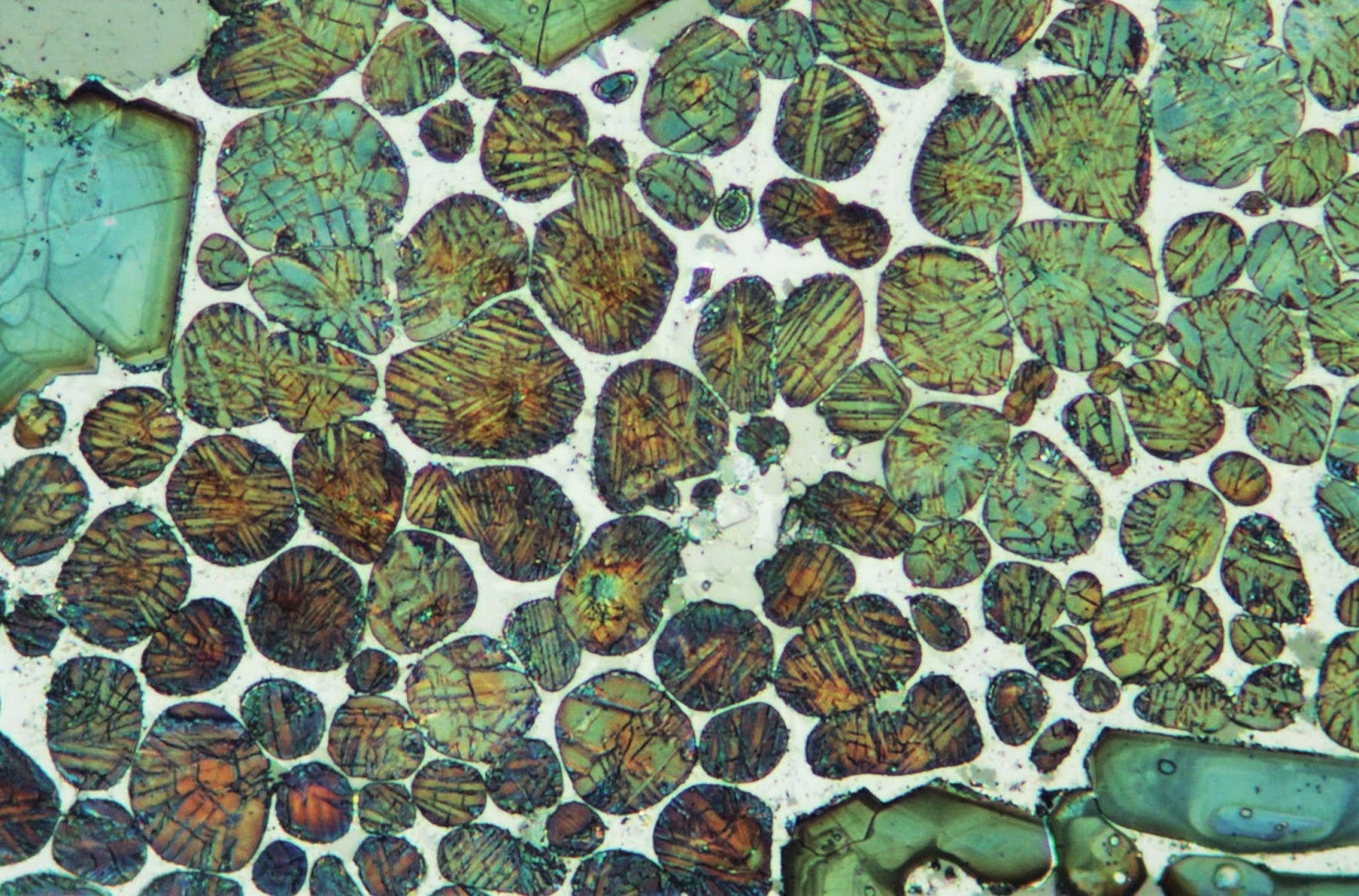 Cement clinker microscopy