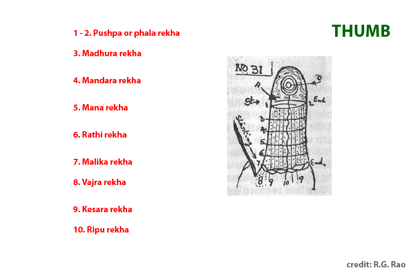 Sacred Science: Hast Rekha Sastra: Hindu Science of Palmistry
