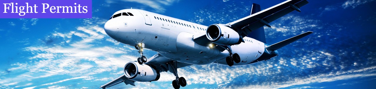 Flight Permits: Landing Permits