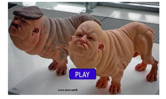 MALIYABWANA: PRAYER THE LORD!!!! LET SEE HOW HUMAN/DOG HYBRID ARE SOLD ...