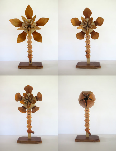 Random thoughts with my puzzle sense: The Flower Automaton