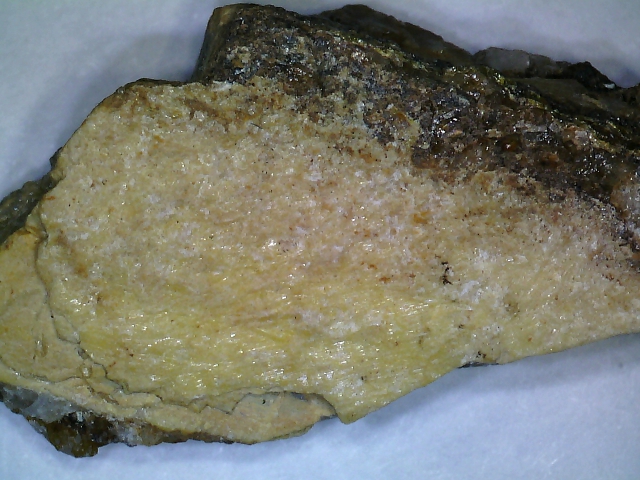 CSMS GEOLOGY POST: DENVER SPRING 19 SHOW w/ BISMUTH & SULFOSALTS