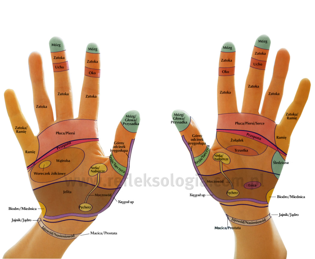 Dnia - myśli: Jak zwiększyć swoje własne zdolności samouzdrawiania.
