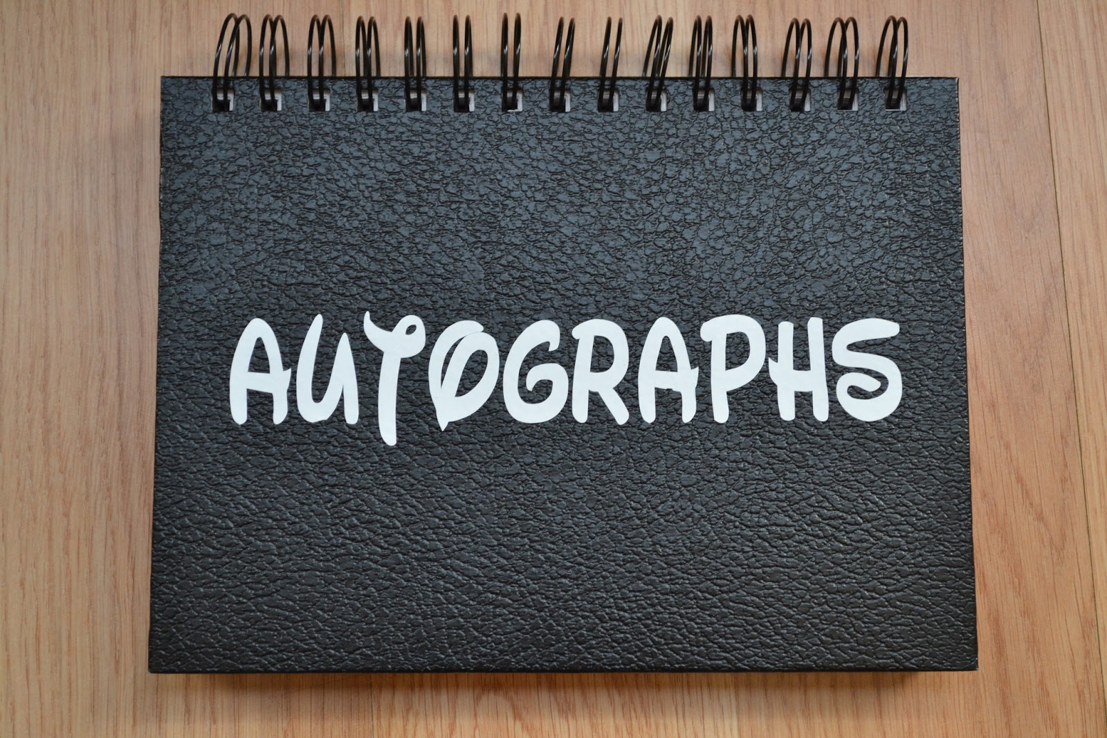 A Britt Without Boys: Disney DIY Autograph Book