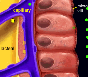 " LE C.O.R.O.N.A.V.I.R.U.S DÉMASQUÉ DANS LA CONSPIRATION DIABOLIQUE DU ...