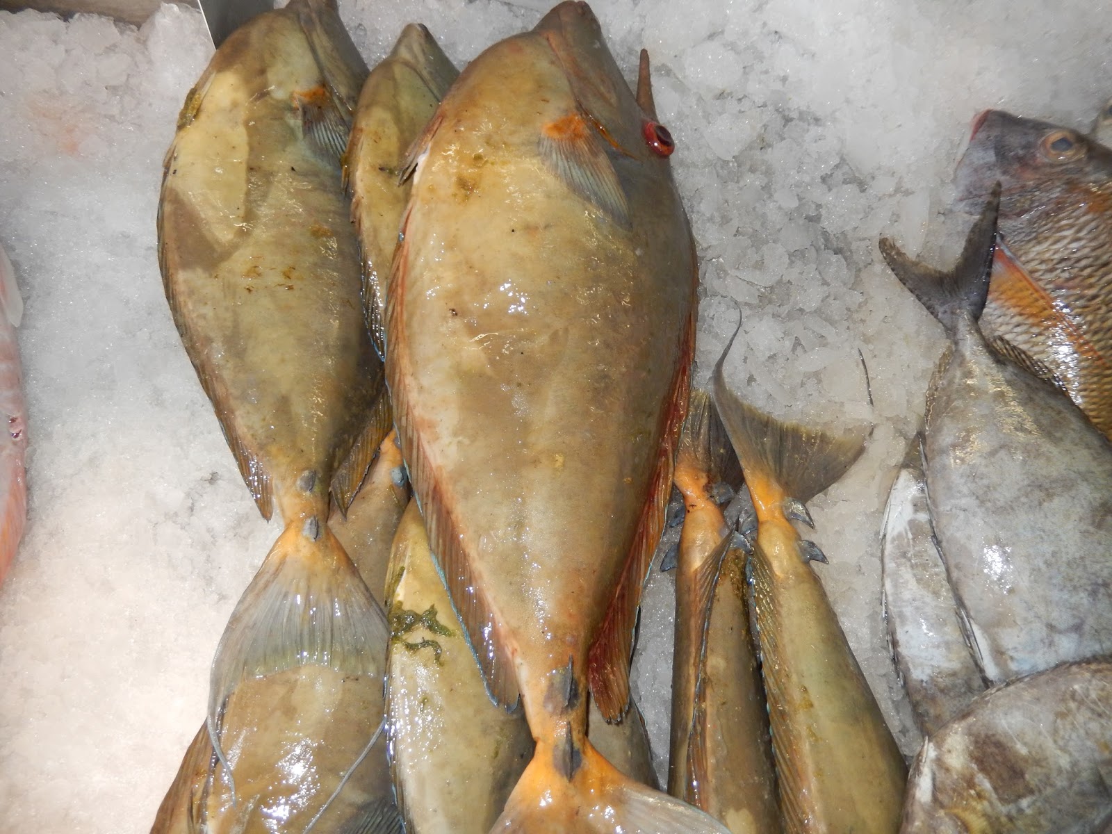Coco et Nono: Marché de Nouméa