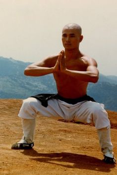 Arte martiale - Martial arts - 格闘技: Calugarii shaolin
