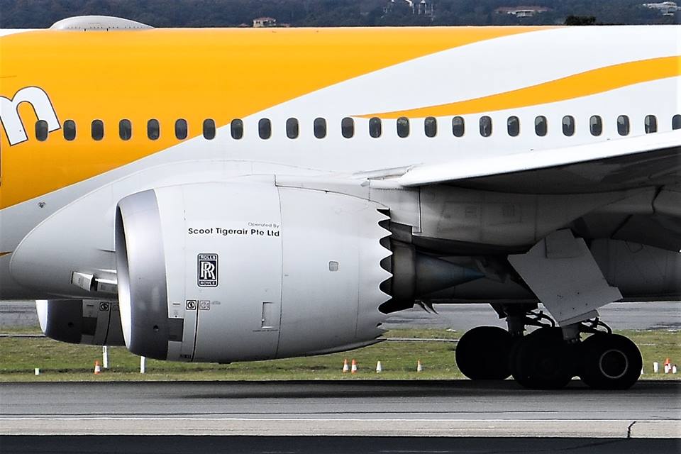 Perth Airport Spotter's Blog: Scoot & Tiger Airways (SG) merger creates ...