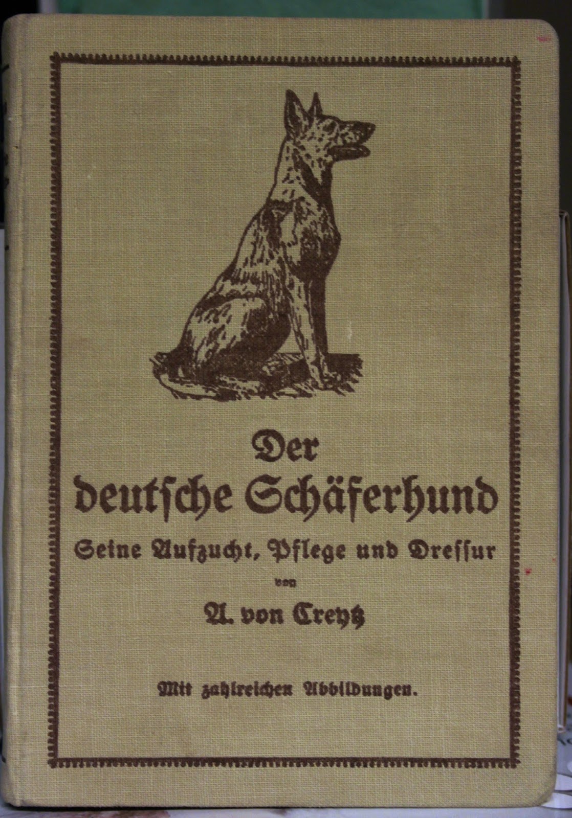 Teräsvillan pumit: 2016