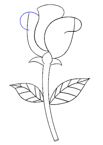 Cara Menggambar Bunga Mudah Untuk Anak