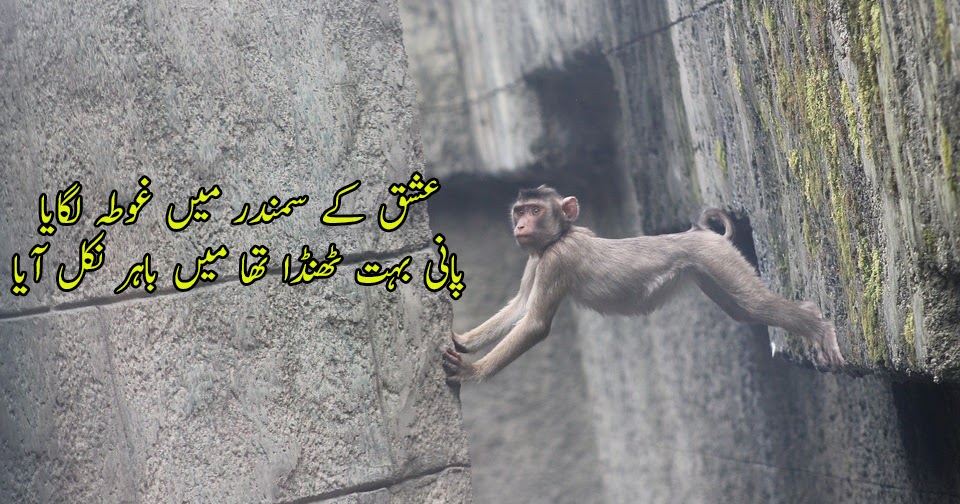 Joke Meaning In Urdu Lateefa Meaning Search Results Web
