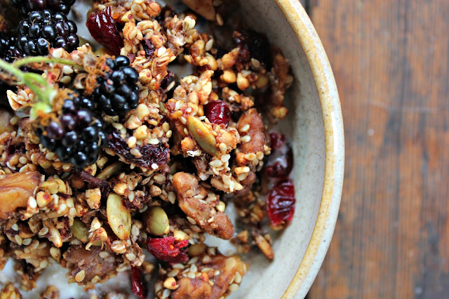 Sprouted Buckwheat Granola - Wholehearted Eats