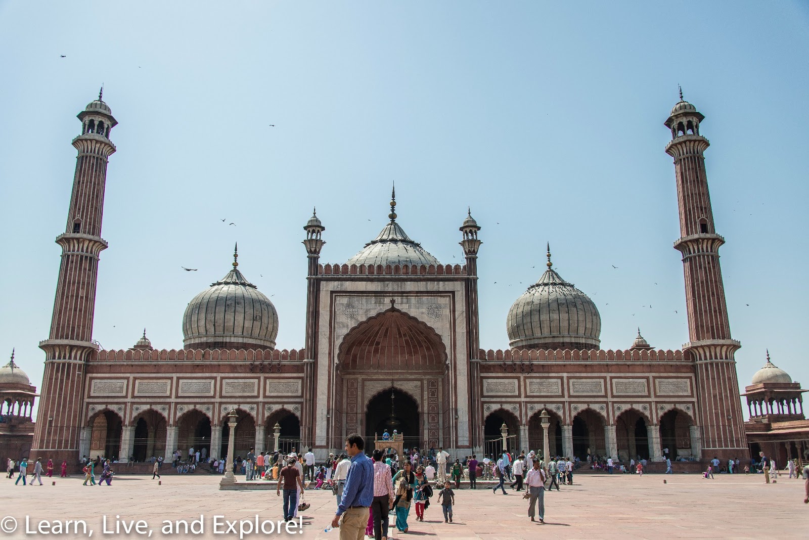 India - Delhi (Golden Triangle Part 1) ~ Learn, Live, and Explore!
