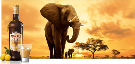 Mundo Das Marcas: AMARULA