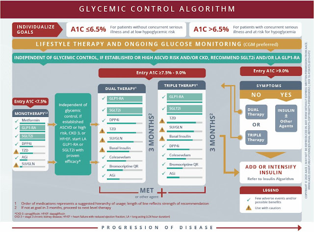 Educacion Diabetologica