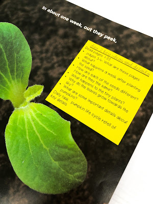 Main Topic and Key Details with Pumpkin Circle Interactive Read Aloud ...