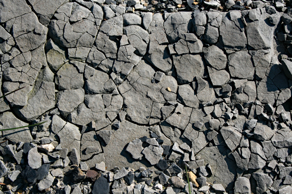 The Language of Stone: The Waverley Estate