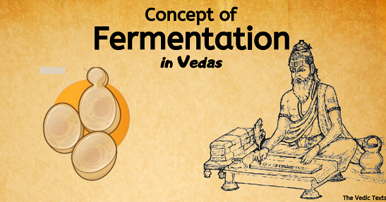 Vedic Texts: Process of Fermentation in Vedas