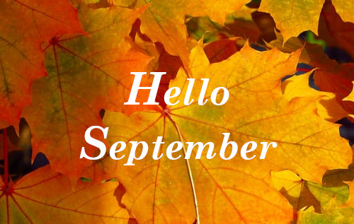 Top 10 Good Morning Hello September Images, Pictures, Photos, Greetings ...