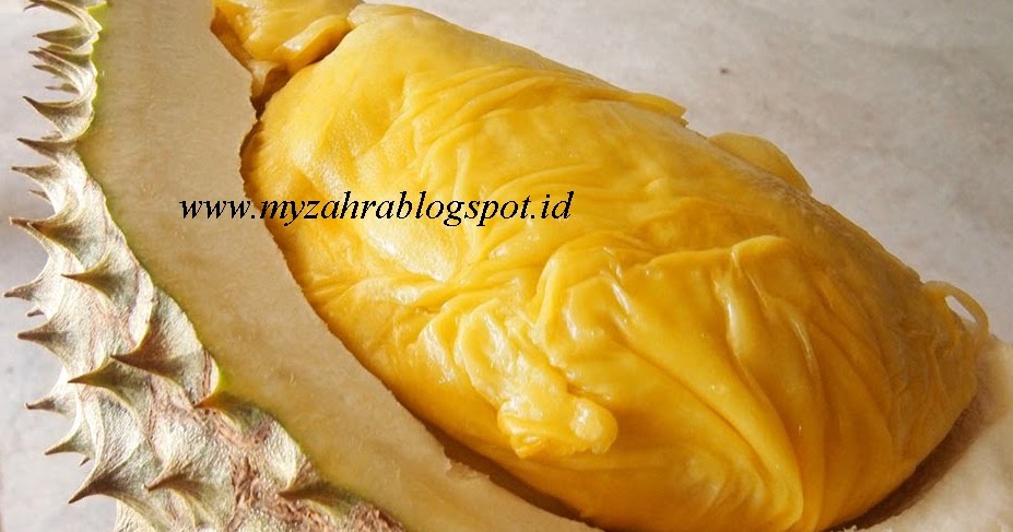 RESEP MASAKAN: ICE DURIAN