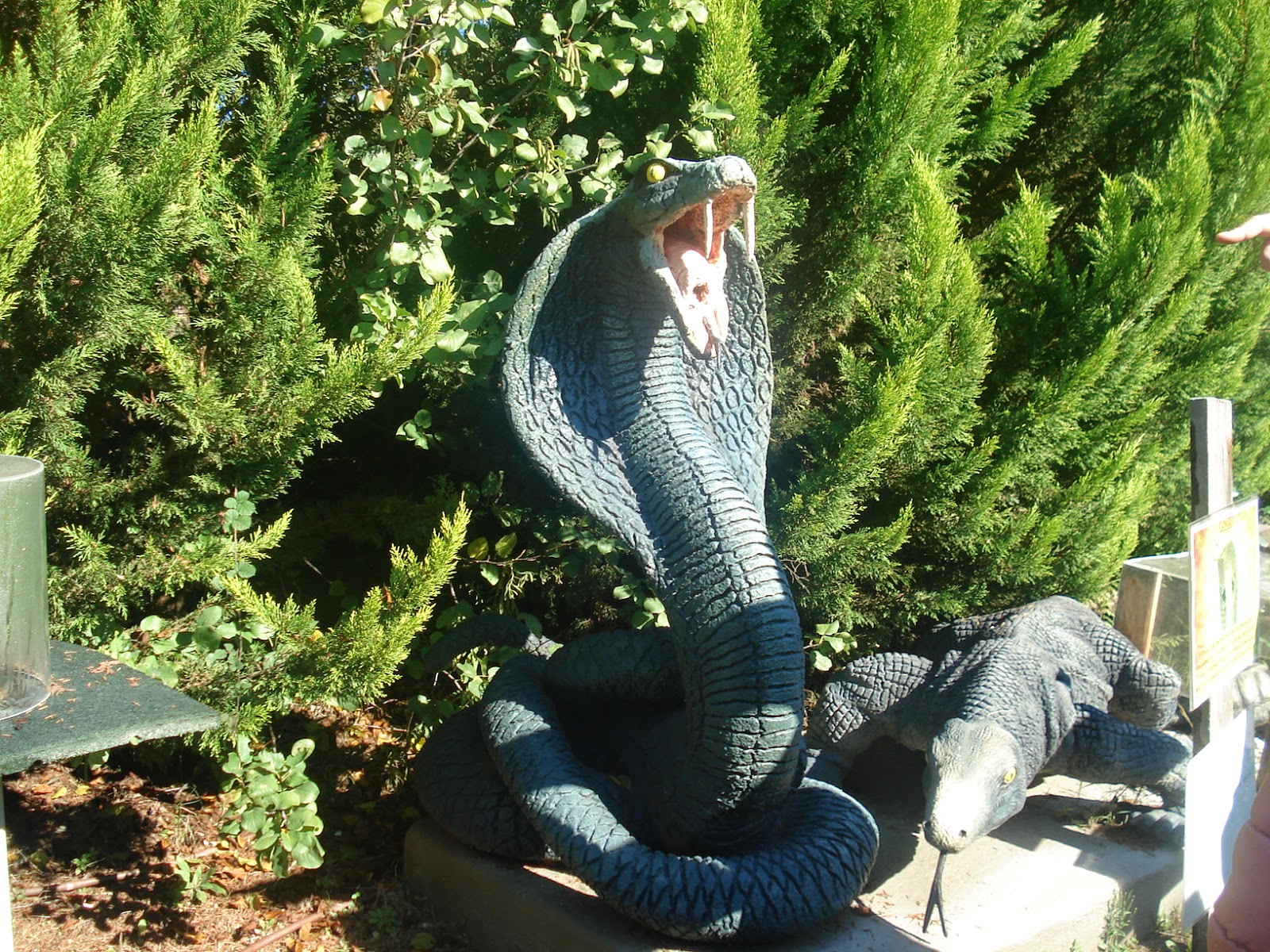 18ο ΔΗΜΟΤΙΚΟ ΣΧΟΛΕΙΟ ΣΕΡΡΩΝ : ΕΠΙΣΚΕΨΗ ΣΤΟ ΠΑΡΚΟ ΔΕΙΝΟΣΑΥΡΩΝ ΣΤΟ ...