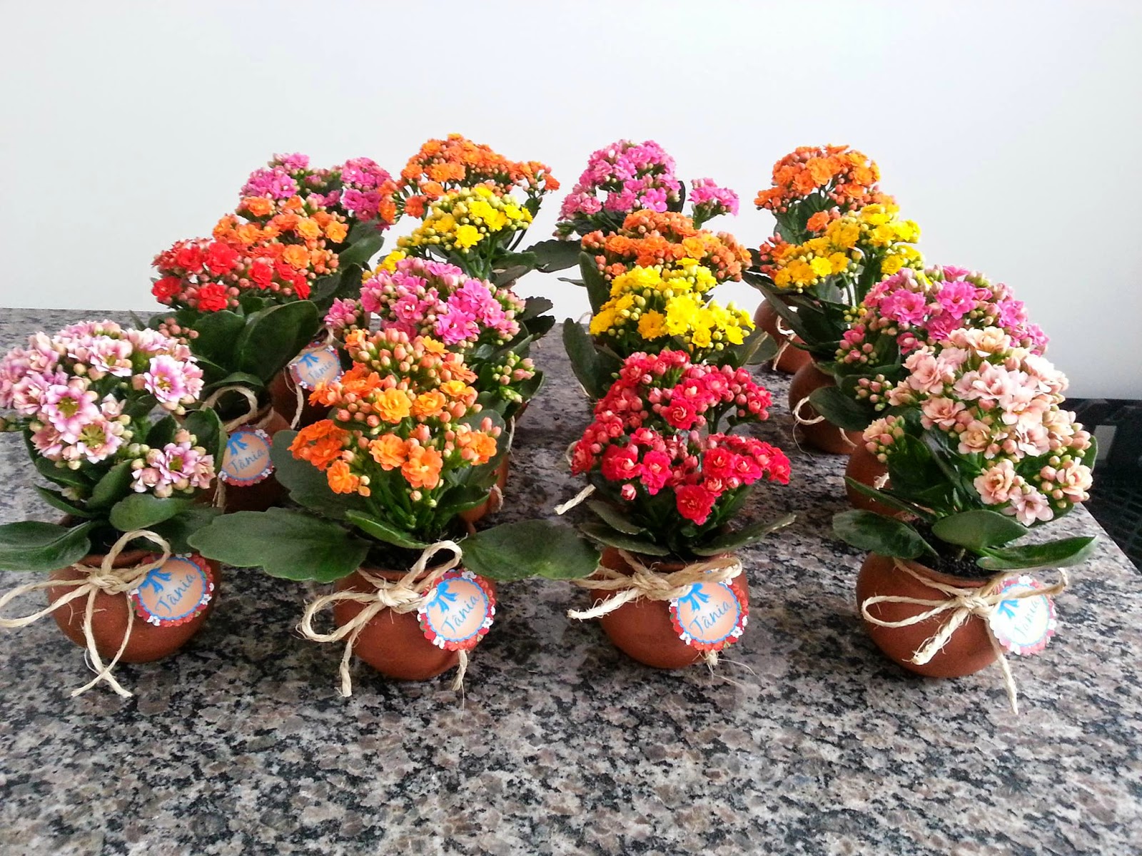 Flores Pequenas De Vaso - FDPLEARN