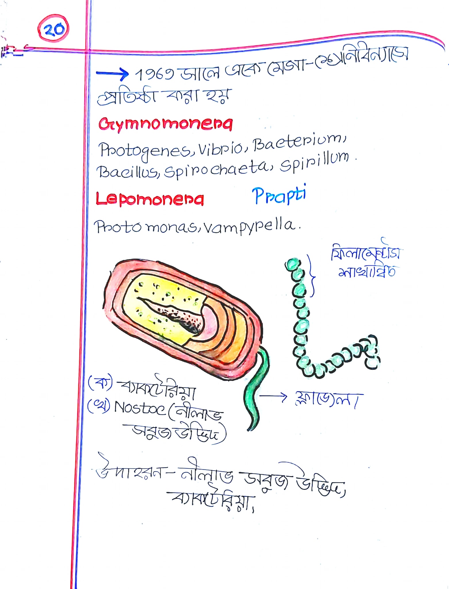 SSC Biology Chapter 1 Hand Note (৯ম ও ১০ম শ্রেণির জীব বিজ্ঞান ১ম অধ্যায়)